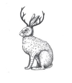 Jackalope – The Creature Compendium