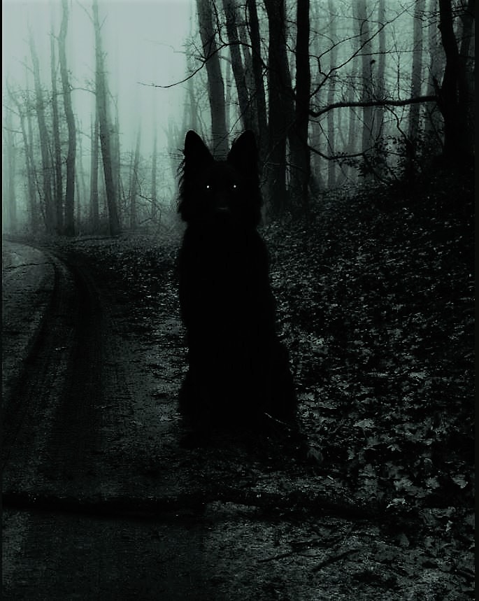 Grim – The Creature Compendium