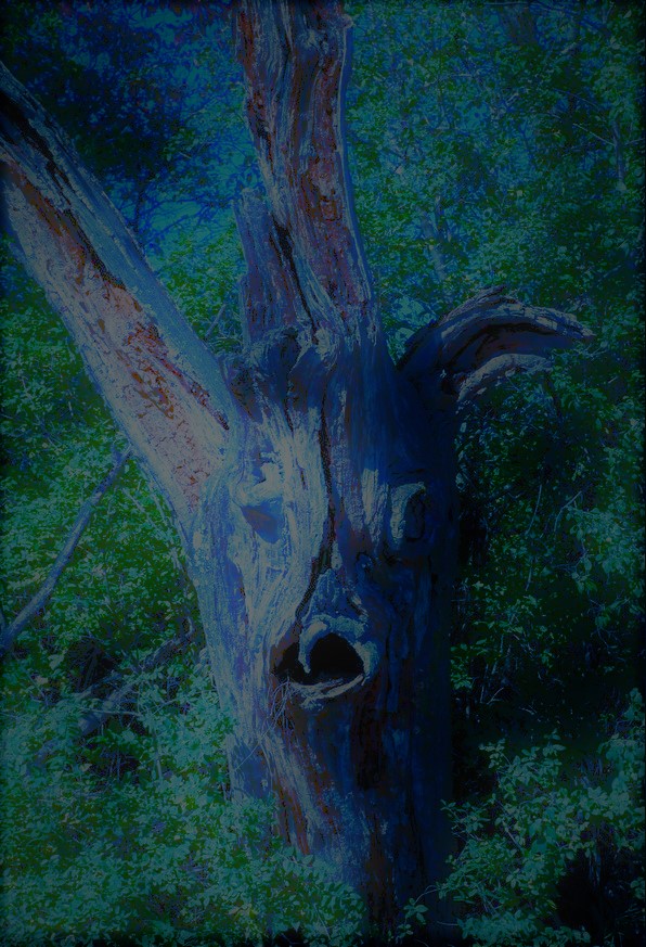 Soul tree – The Creature Compendium